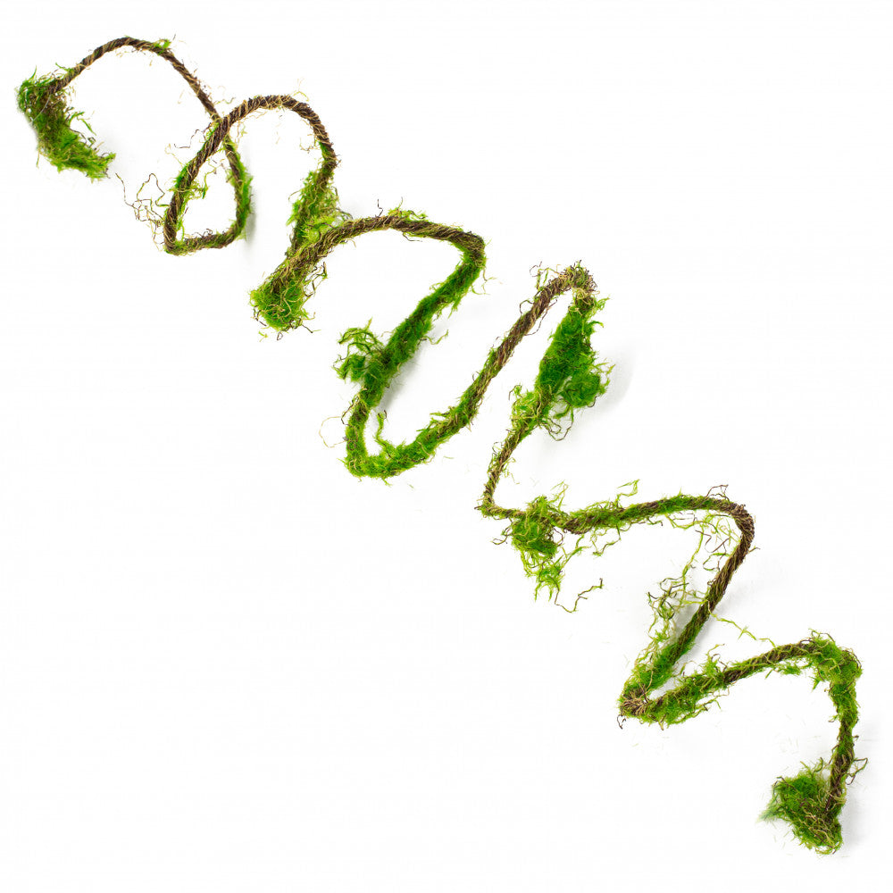 Moss Vine Garland 79" Streamer – Blueberry Lane Shop