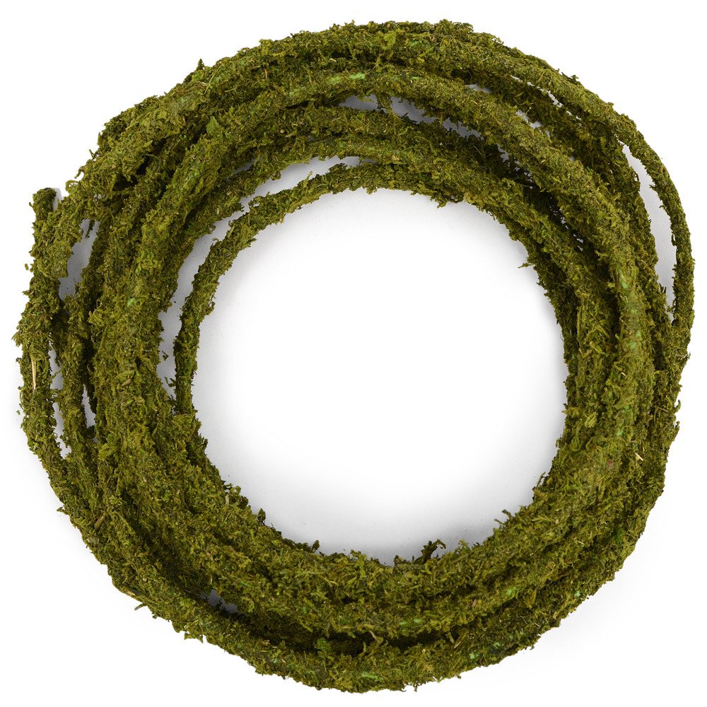 Natural Decorating Moss Rope Garland - 25 ft – Blueberry Lane Shop